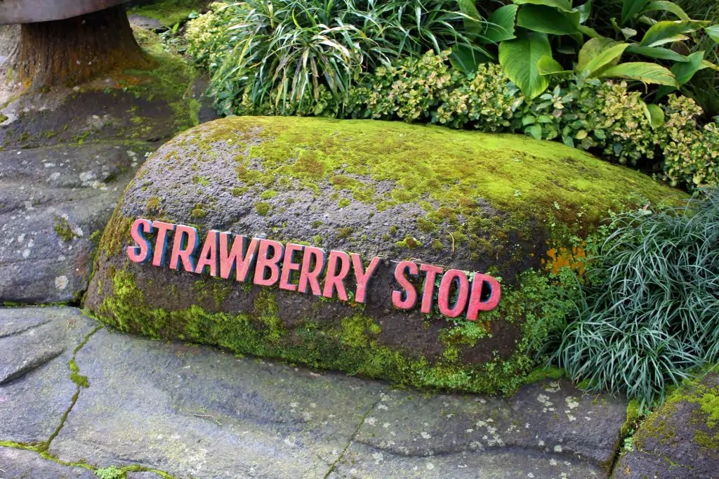Strawberry Stop – Bali Villas | Luxury Bali Villa