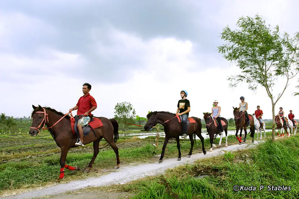 Kuda P Stables – Bali Villas - Luxury Bali Villa